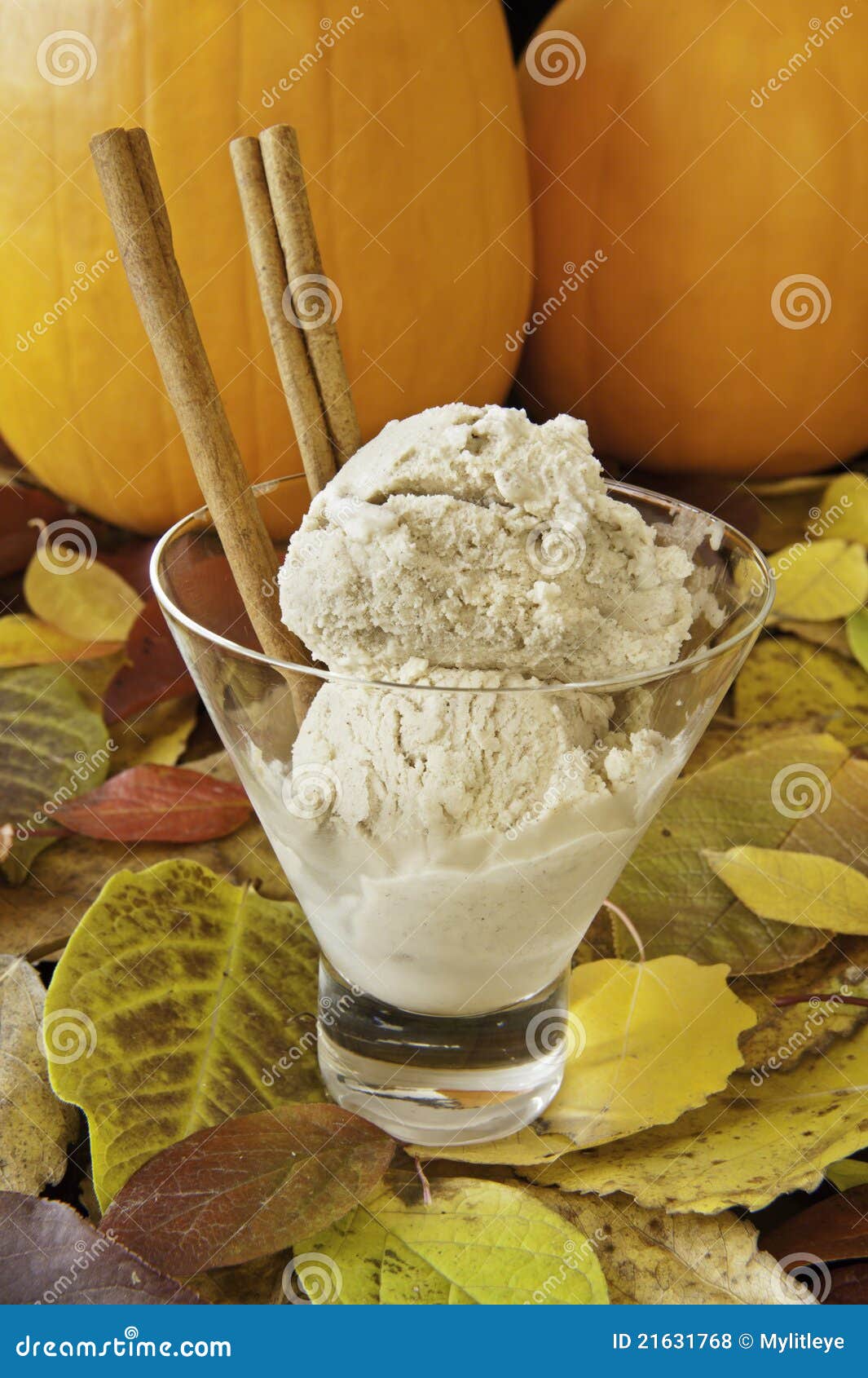 Autumn Ice Cream stock photo. Image of bowl, squash, colorful - 21631768
