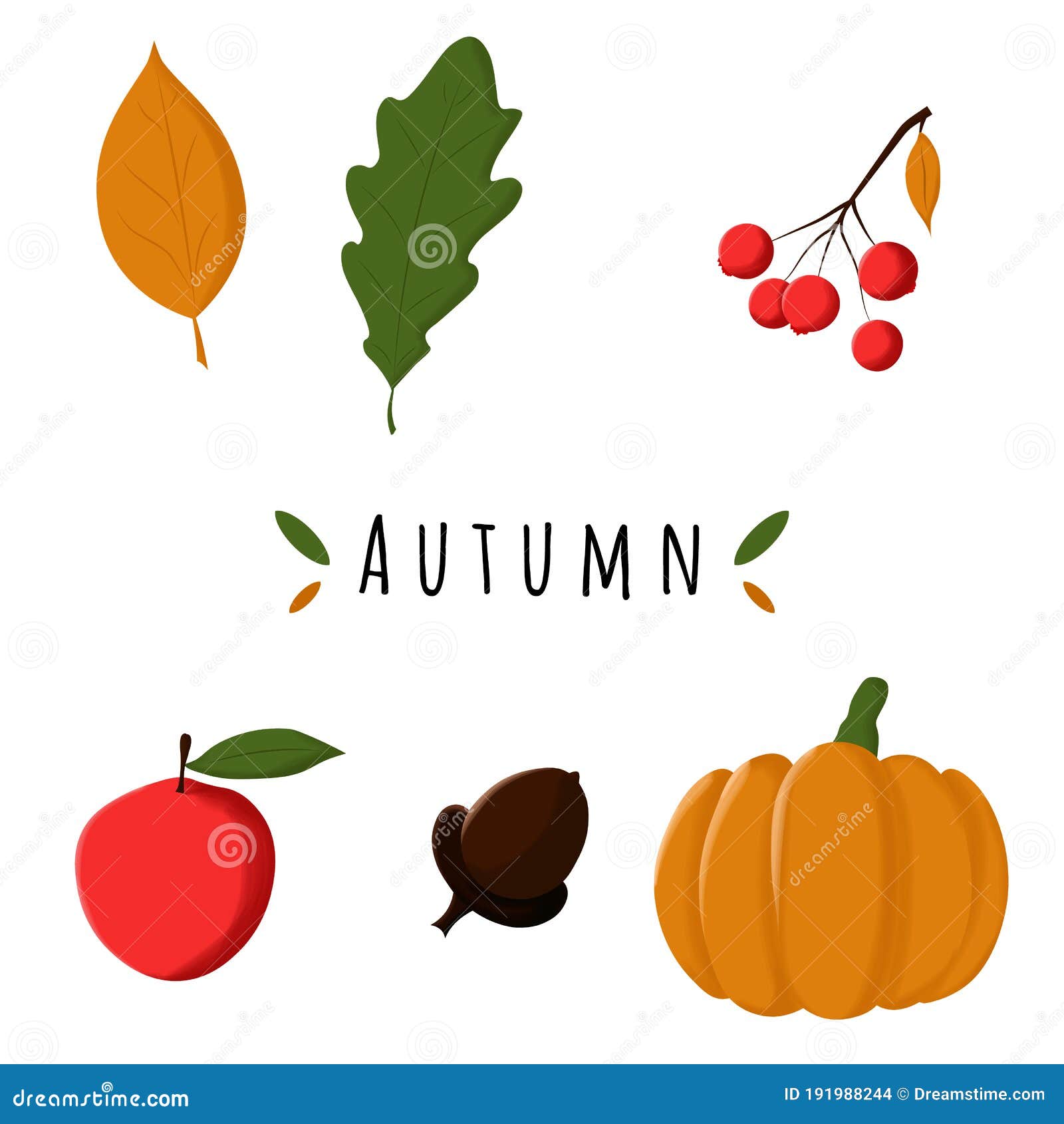 Autumn Illustrations. Vector Cartoon Icons. Isolated Objects on White ...