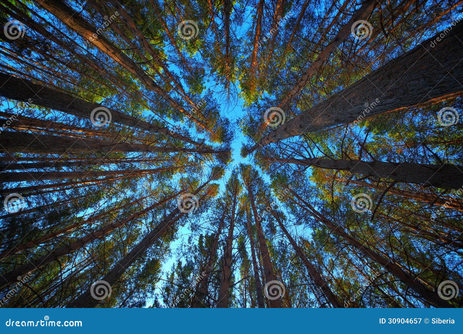 Autumn stock image. Image of season, autumn, fall, september - 30904657