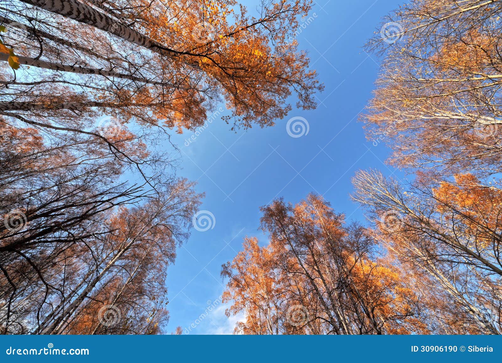 Autumn stock photo. Image of september, yellow, fall - 30906190