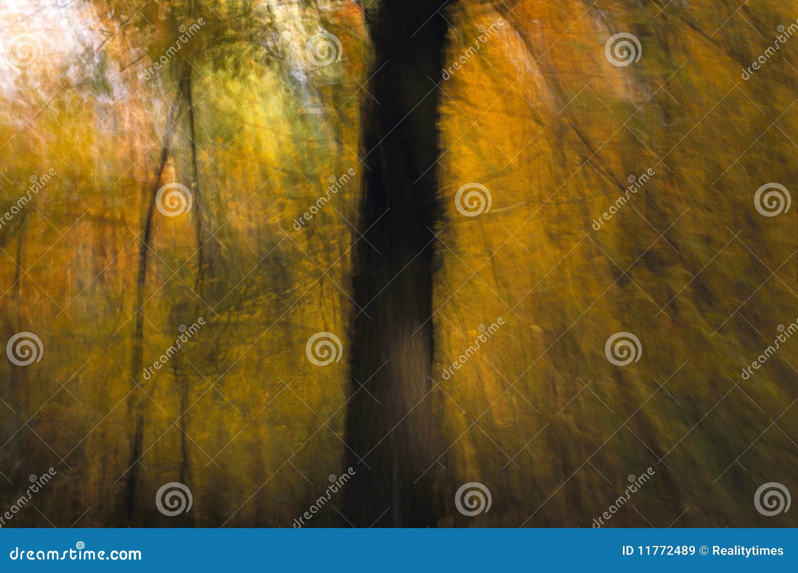 Autumn Image with Tree Trunk Stock Image - Image of blurred, artsy ...