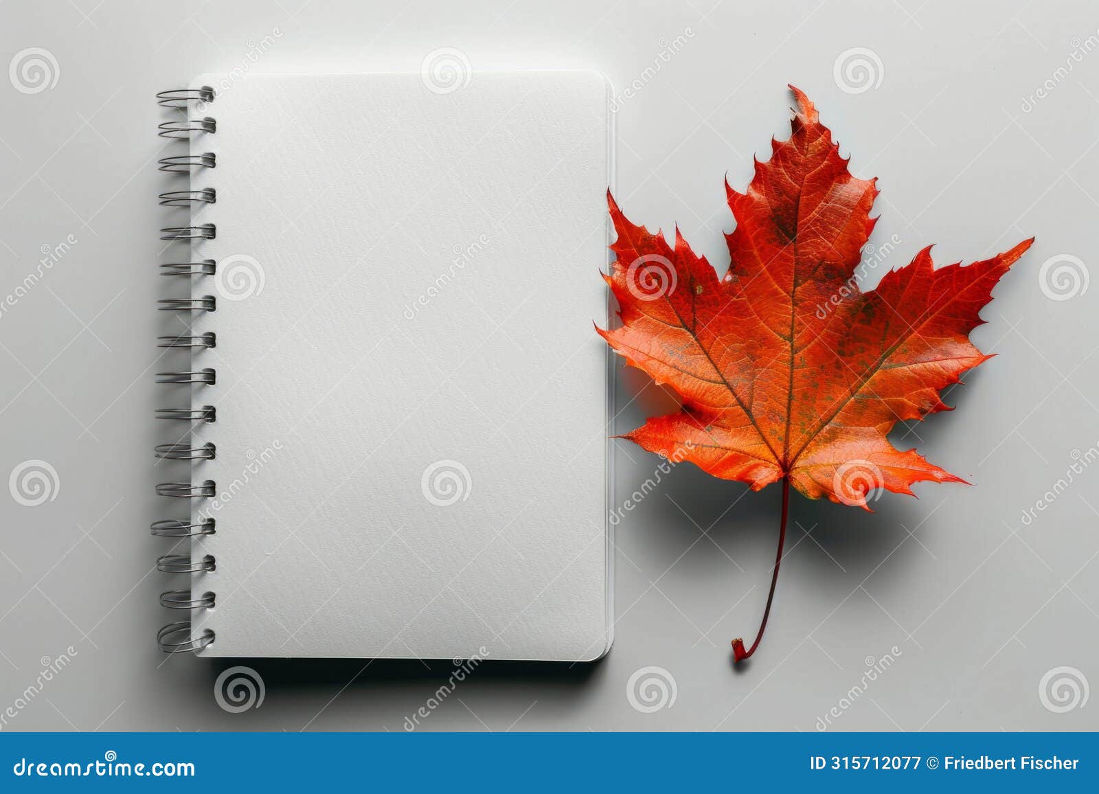 Autumn Inspiration: Maple Leaf on Blank Notebook Stock Image - Image of ...