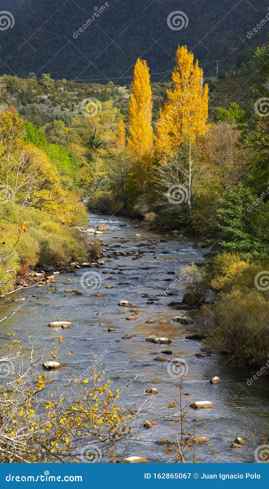 Autumn on the Irati River and Arce Valley, Navarra Pyrenees Stock Image ...