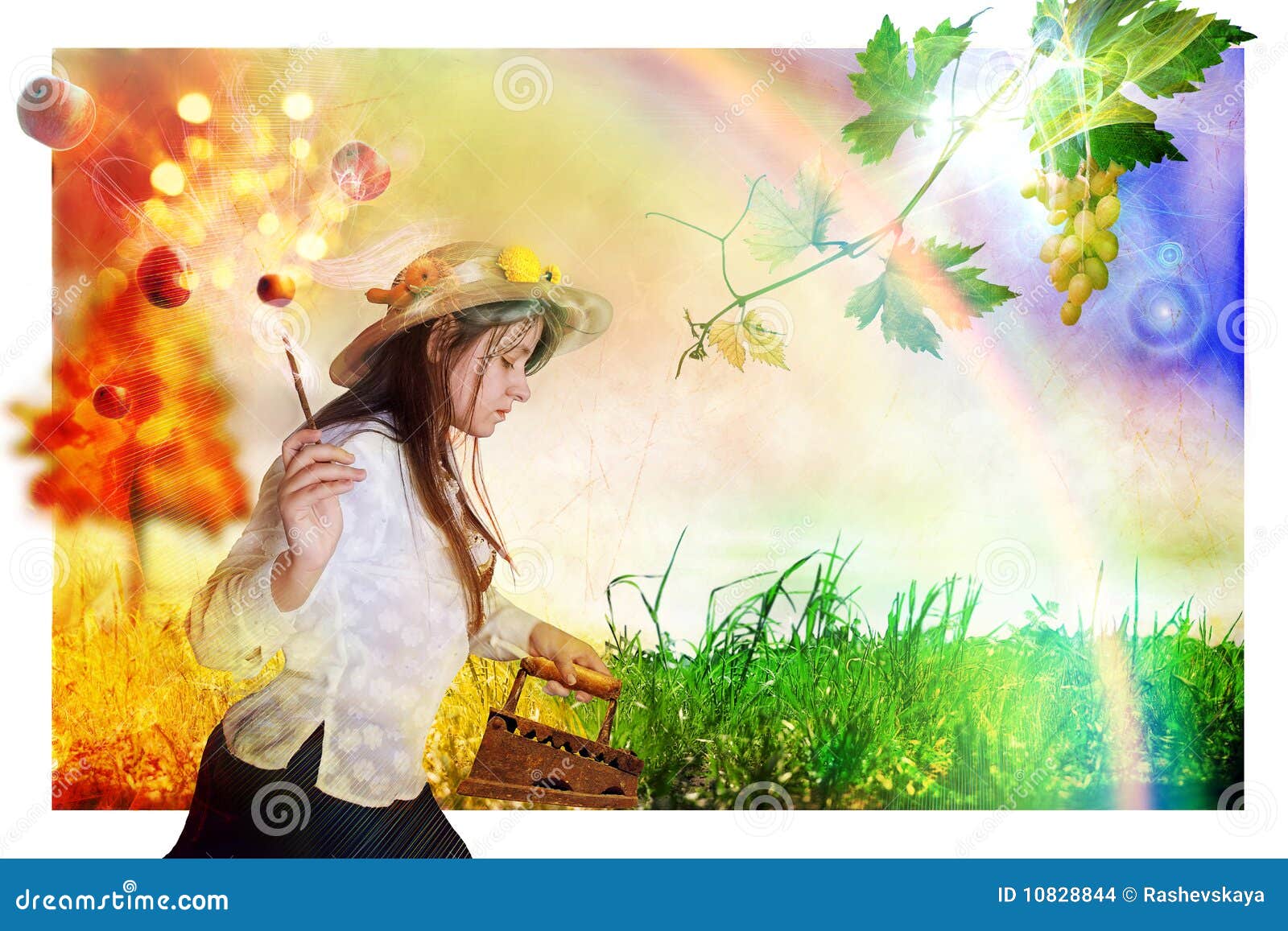 Autumn Iron Grass Stock Illustration Illustration Of Agriculture 10828844