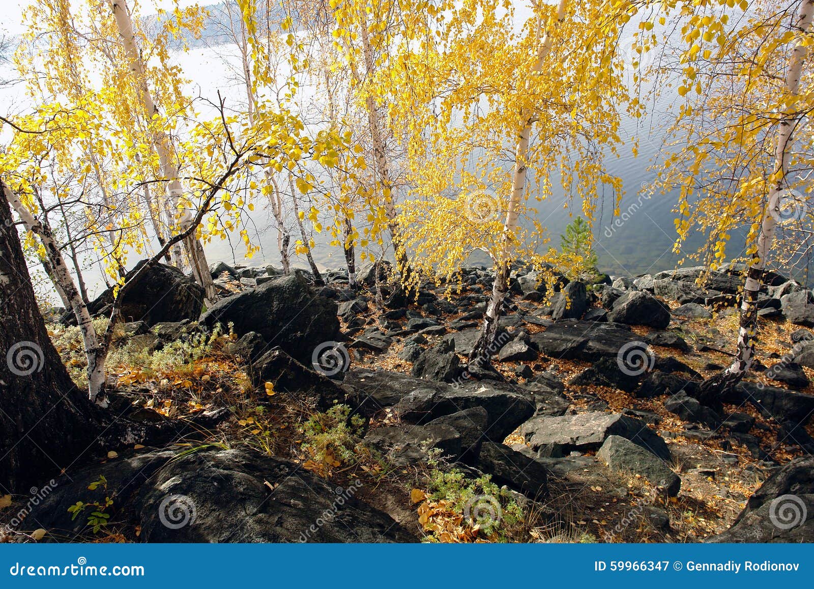 Autumn on the island. stock image. Image of transparency - 59966347
