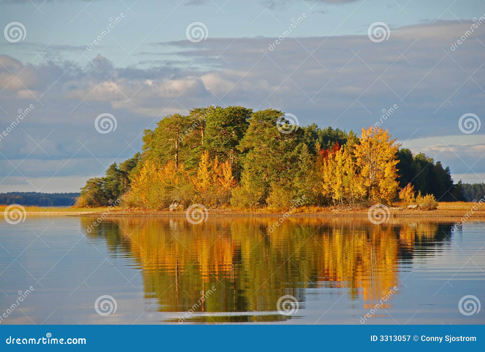 AUTUMN ISLAND and WATER stock image. Image of trees, evening - 3313057