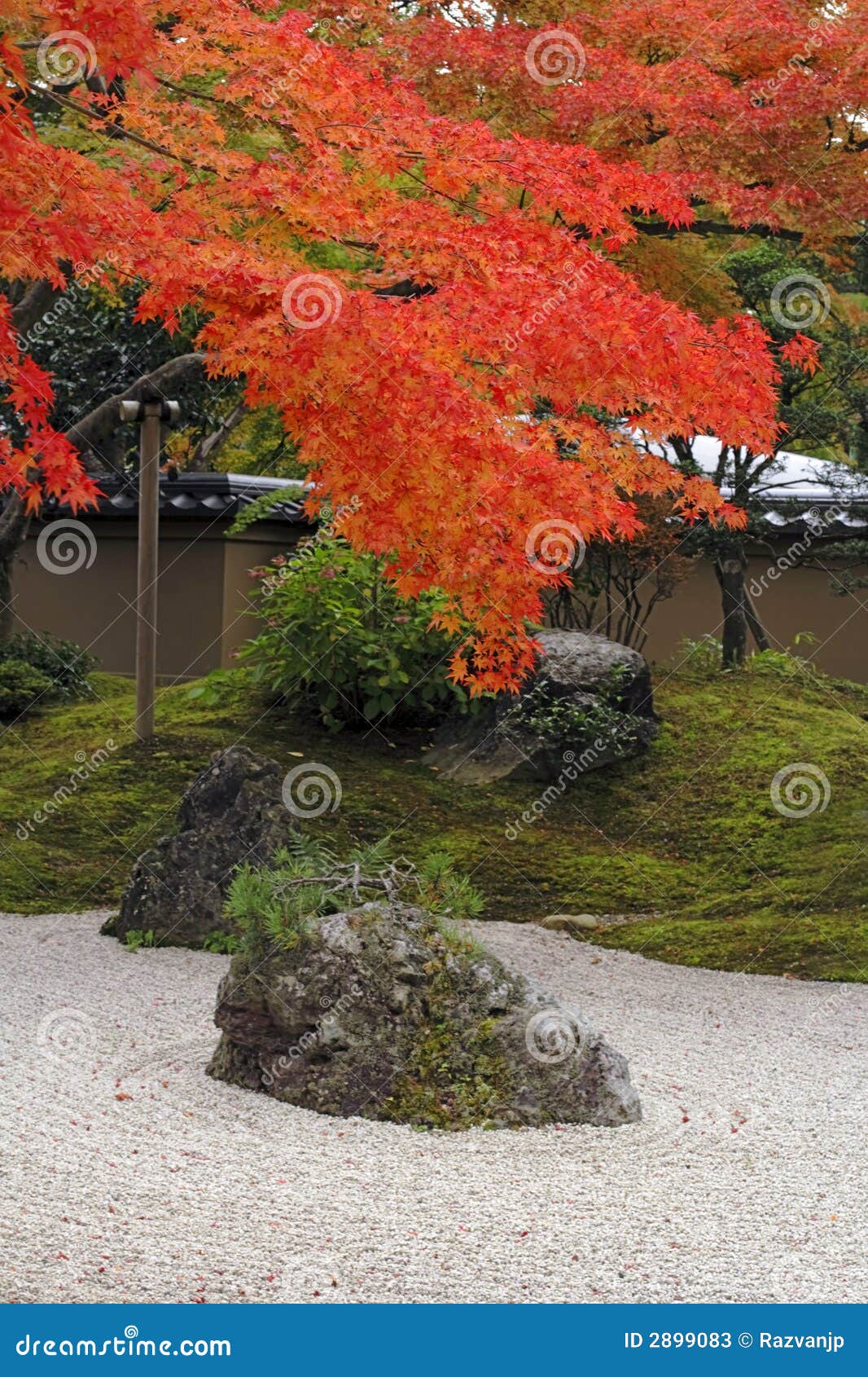 Autumn Japanese garden stock image. Image of asian, japanese - 2899083