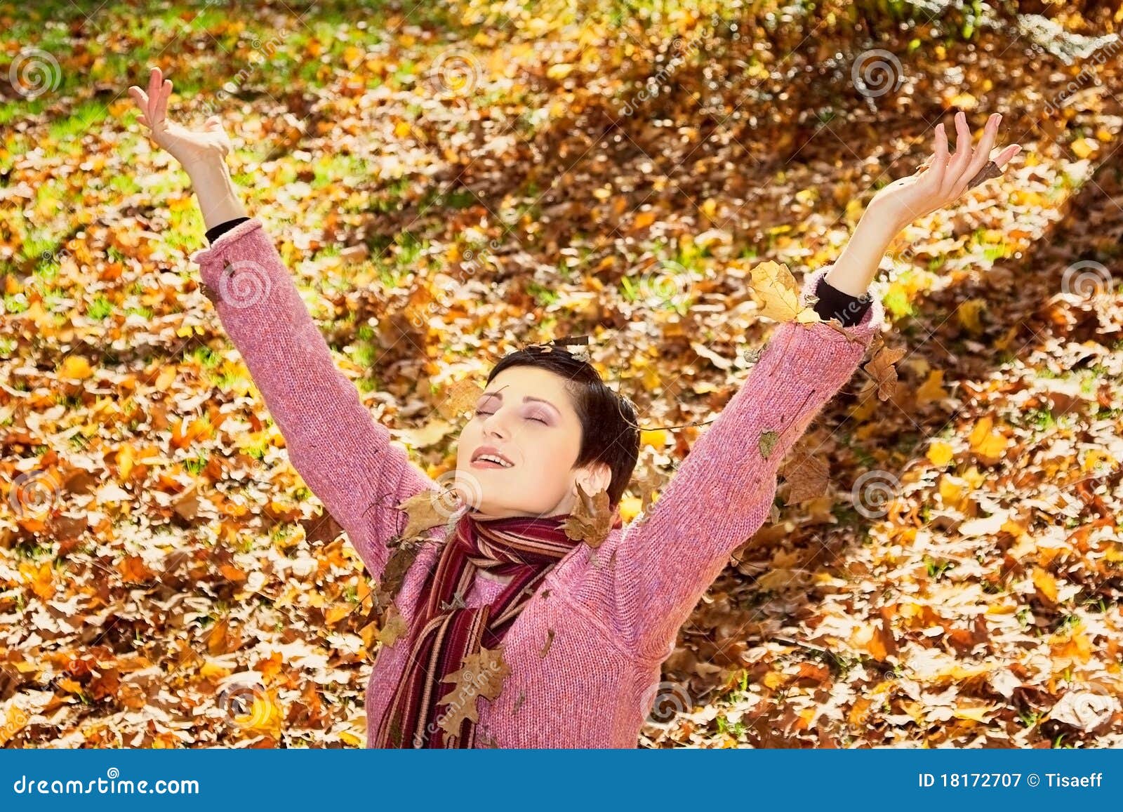 Autumn Joy stock image. Image of female, nature, foliage - 18172707