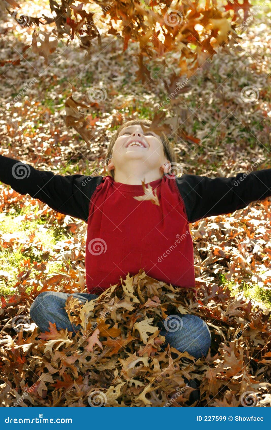Autumn Joy stock image. Image of play, throwing, park, child - 227599