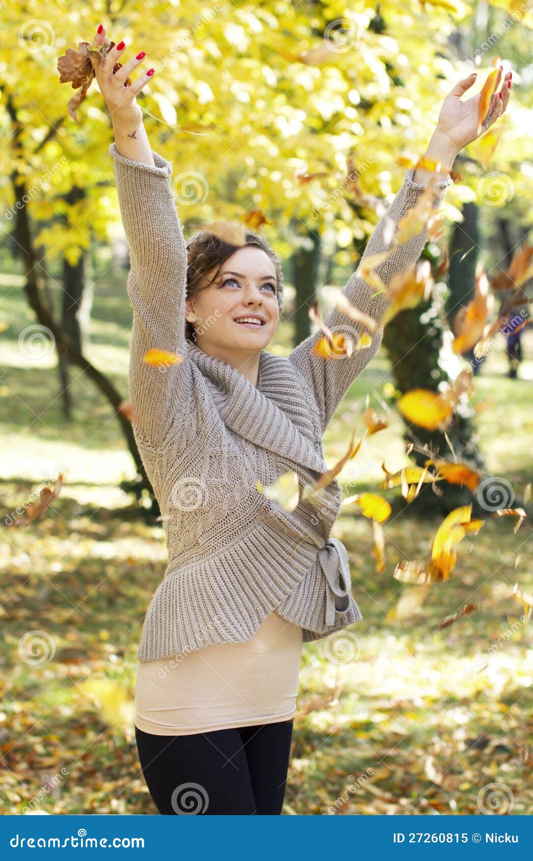 Autumn joy stock image. Image of autumn, model, smiling - 27260815