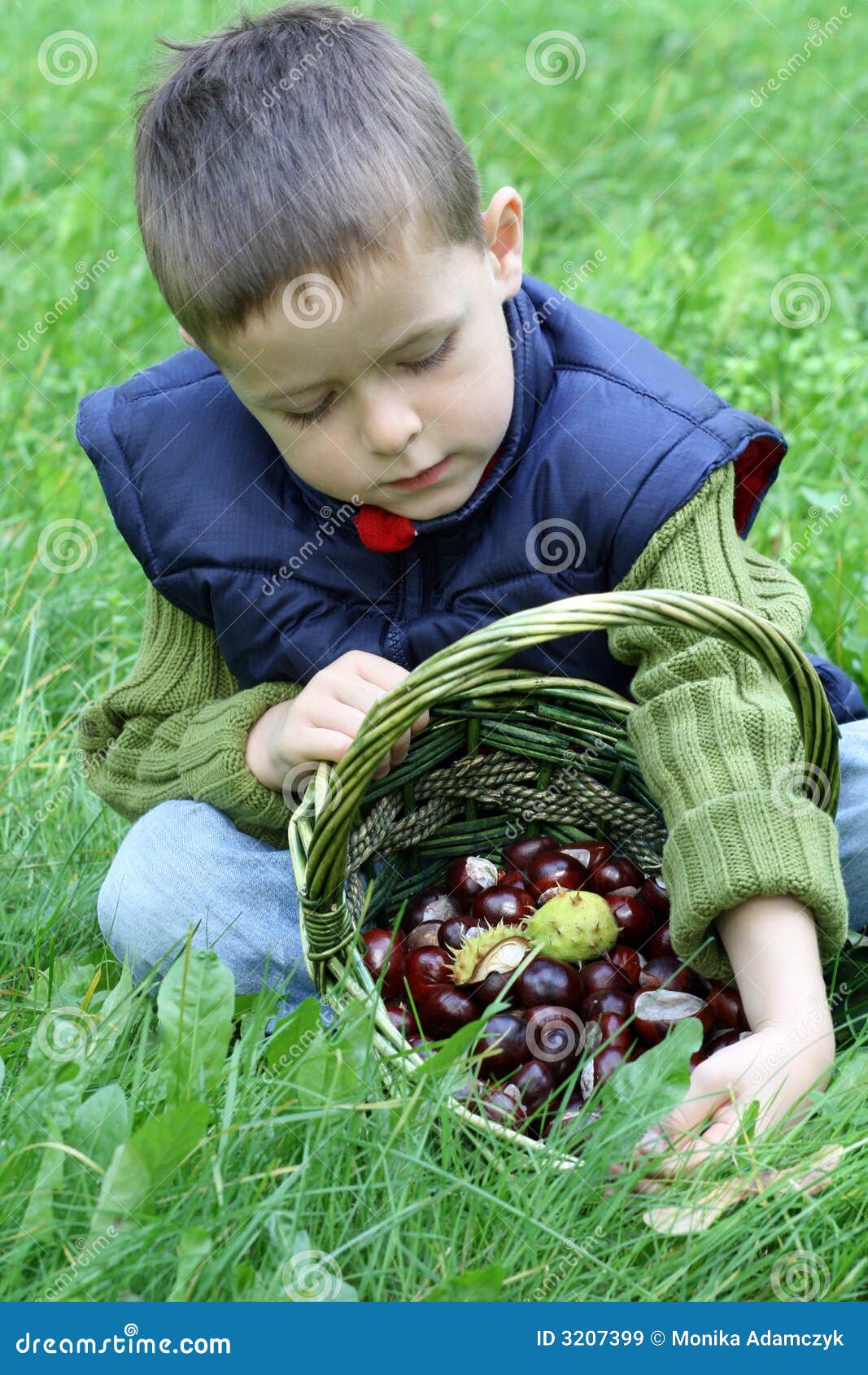 Autumn joy stock image. Image of time, fall, forest, nature - 3207399