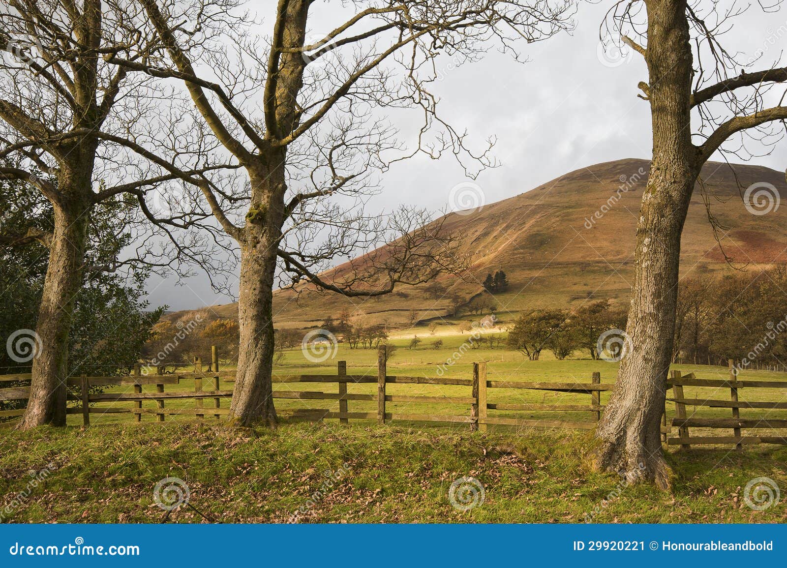 Autumn Kinder Scout Viewed from Footpath To Booth Stock Image - Image ...