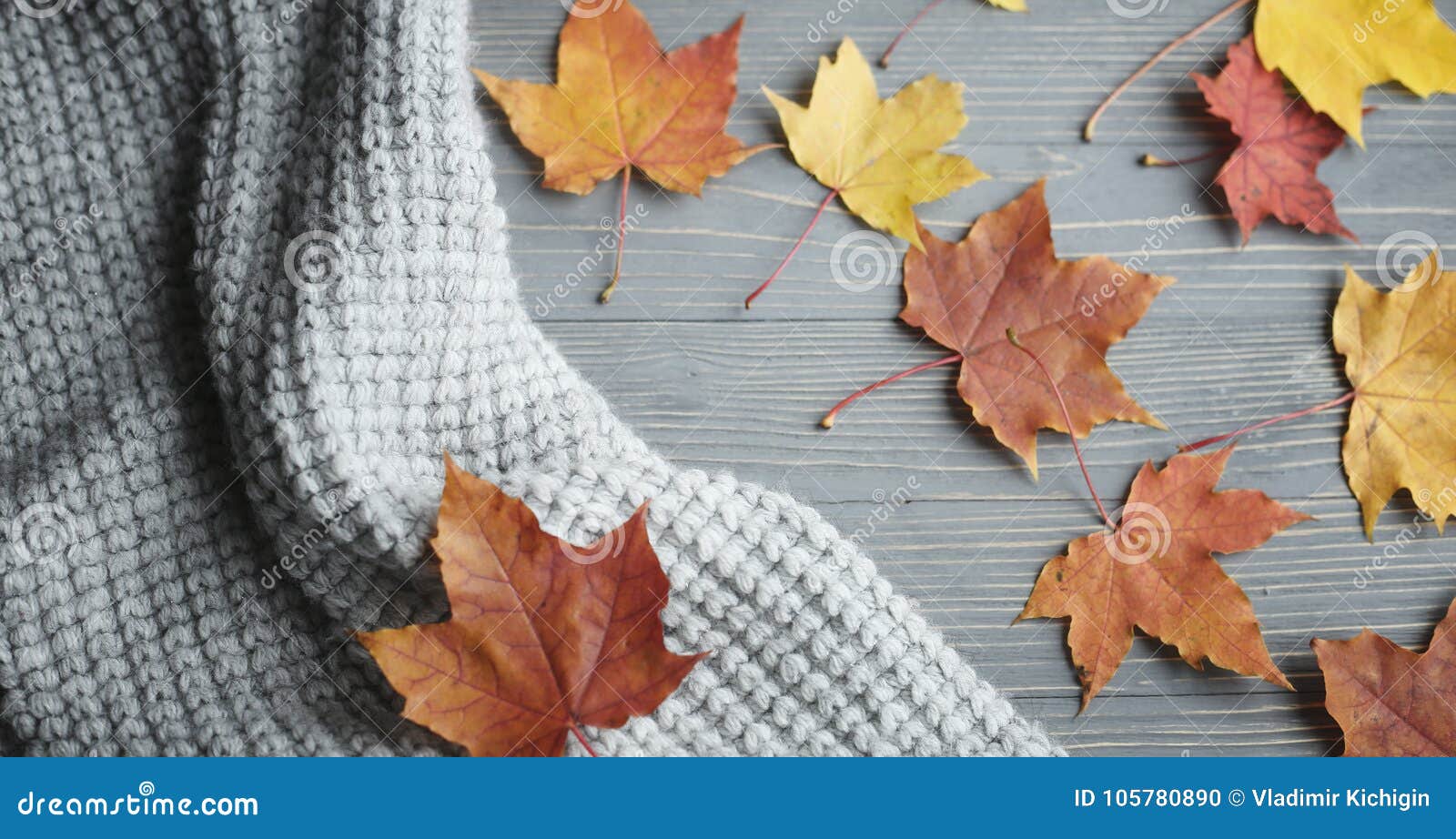 Autumn Knitted Sweaters and Leaves Stock Photo - Image of sweater ...
