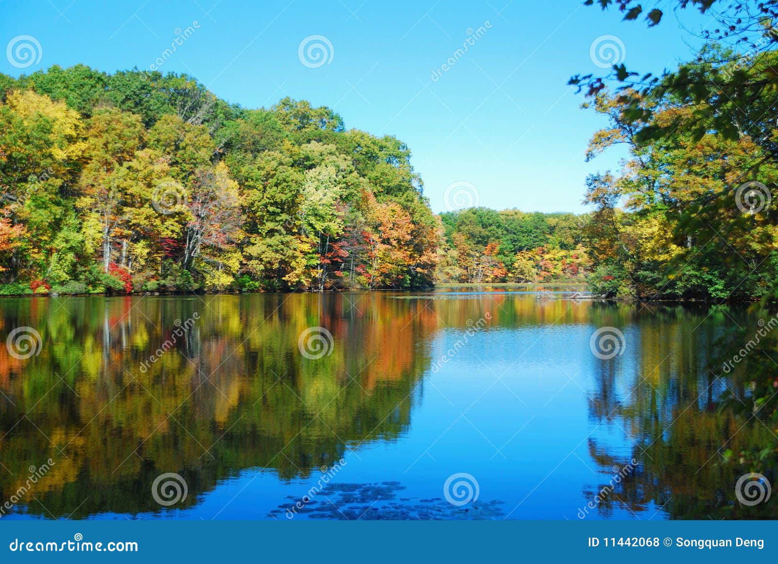 Autumn Lake stock photo. Image of foliage, leaf, color - 11442068