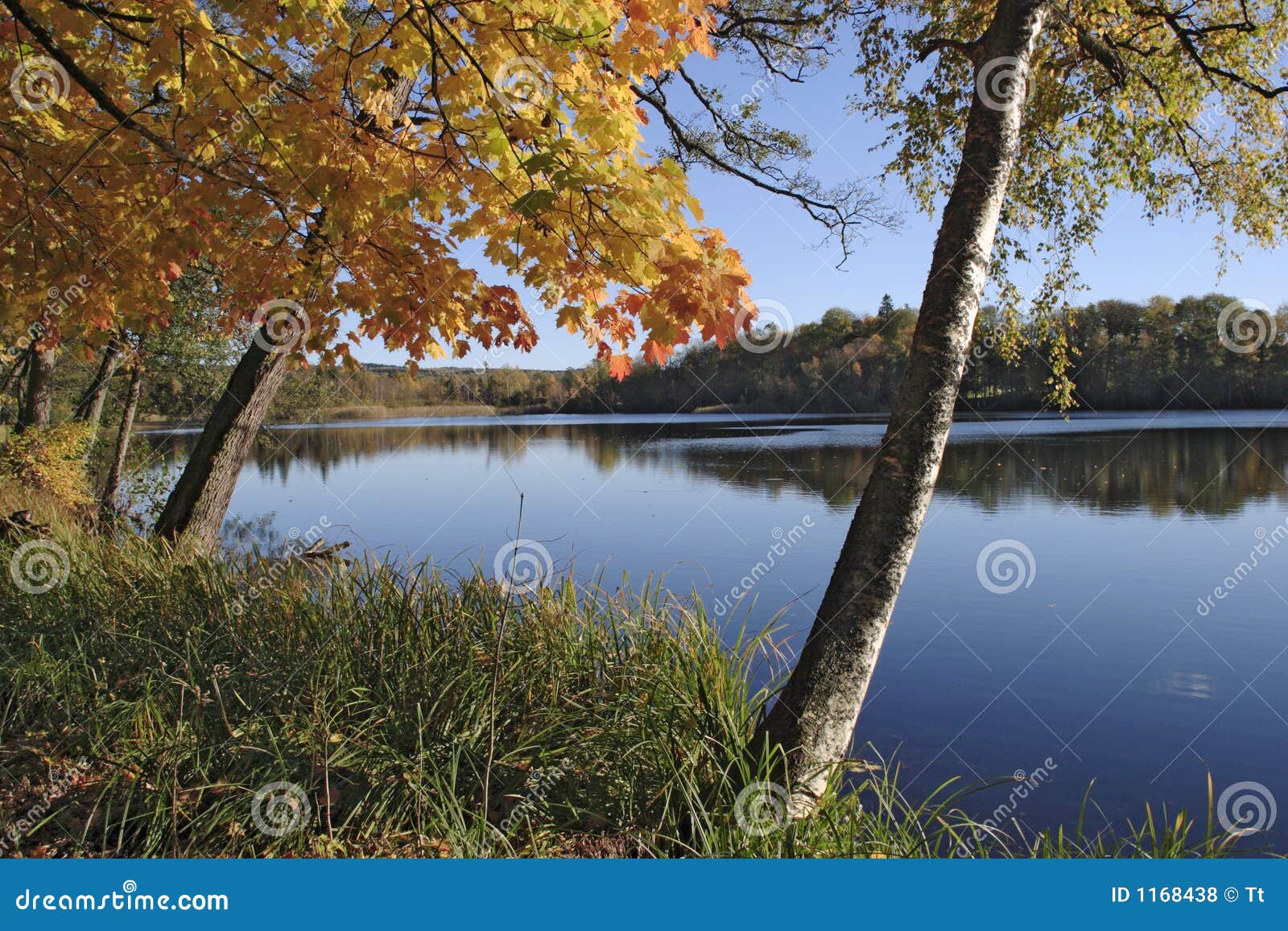 Autumn lake stock photo. Image of country, countryside - 1168438