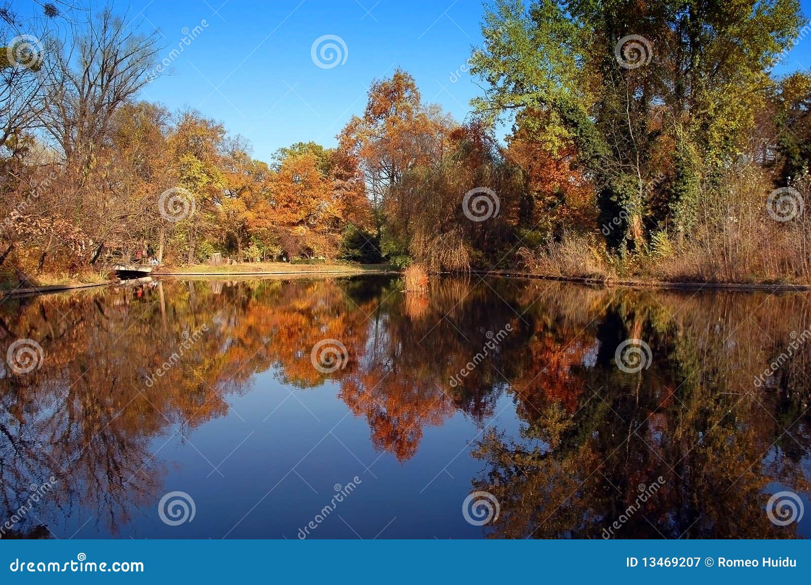 Autumn lake stock image. Image of garden, beautiful, inspiration - 13469207