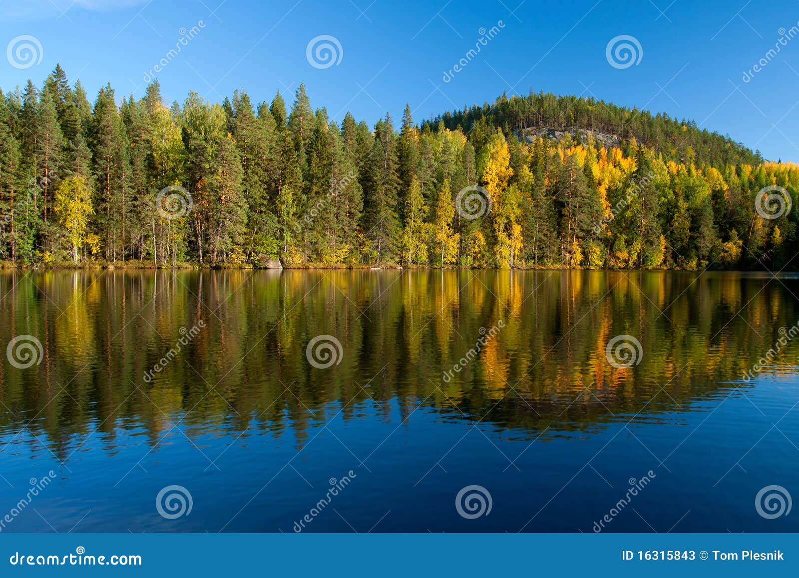 Autumn on lake stock image. Image of nature, foliage - 16315843