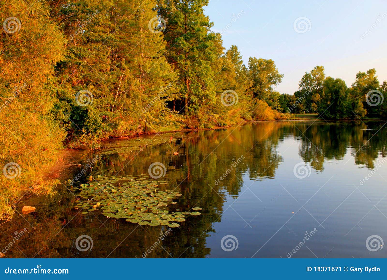 Autumn Lake stock image. Image of bydlo, reflection, autumn - 18371671