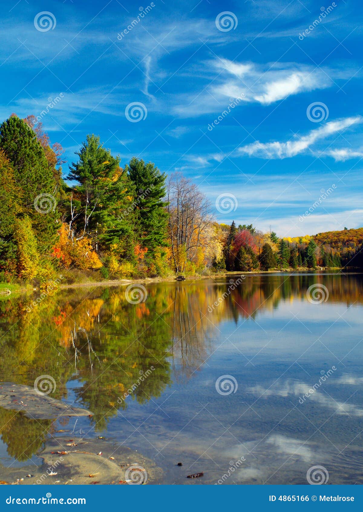 Autumn lake stock photo. Image of cloud, plant, lake, blue - 4865166