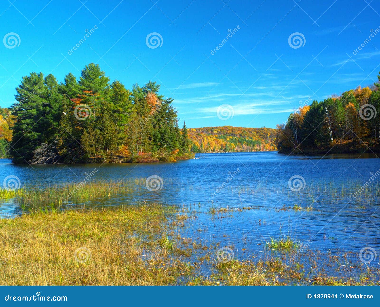 Autumn lake stock photo. Image of green, beauty, clear - 4870944