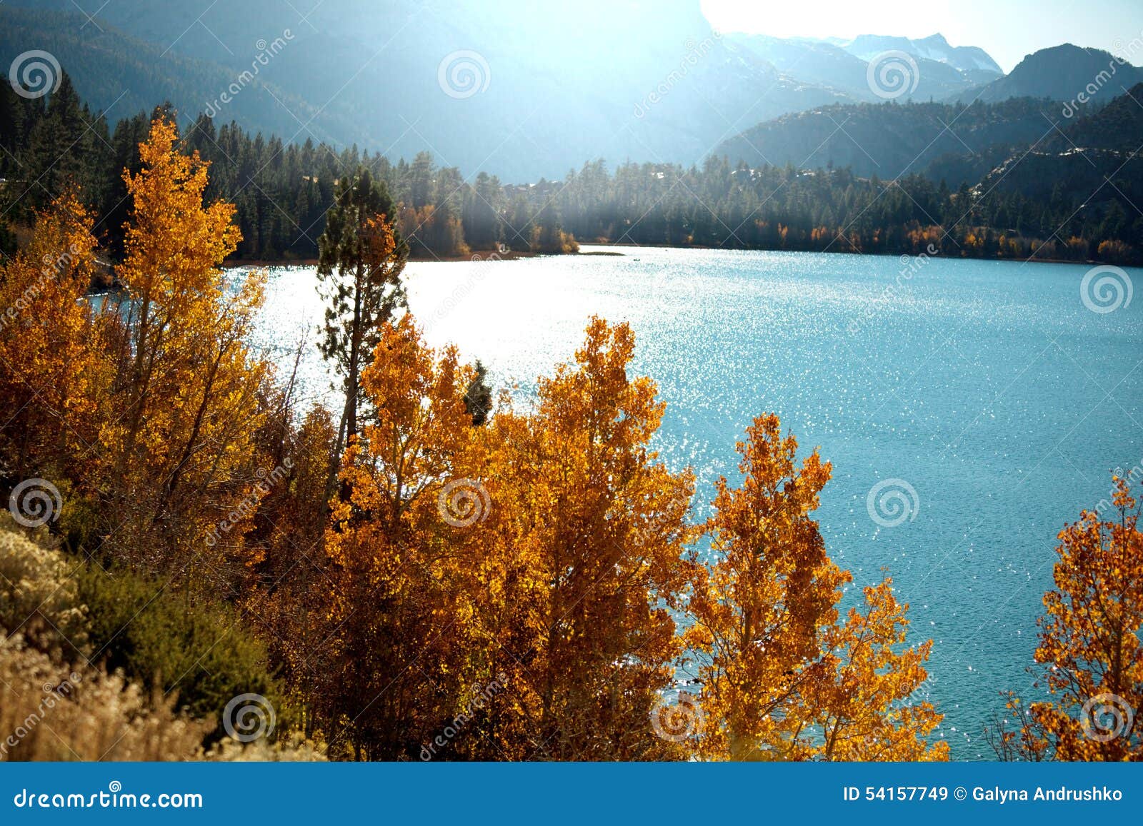 Autumn lake stock image. Image of natural, landscapes - 54157749