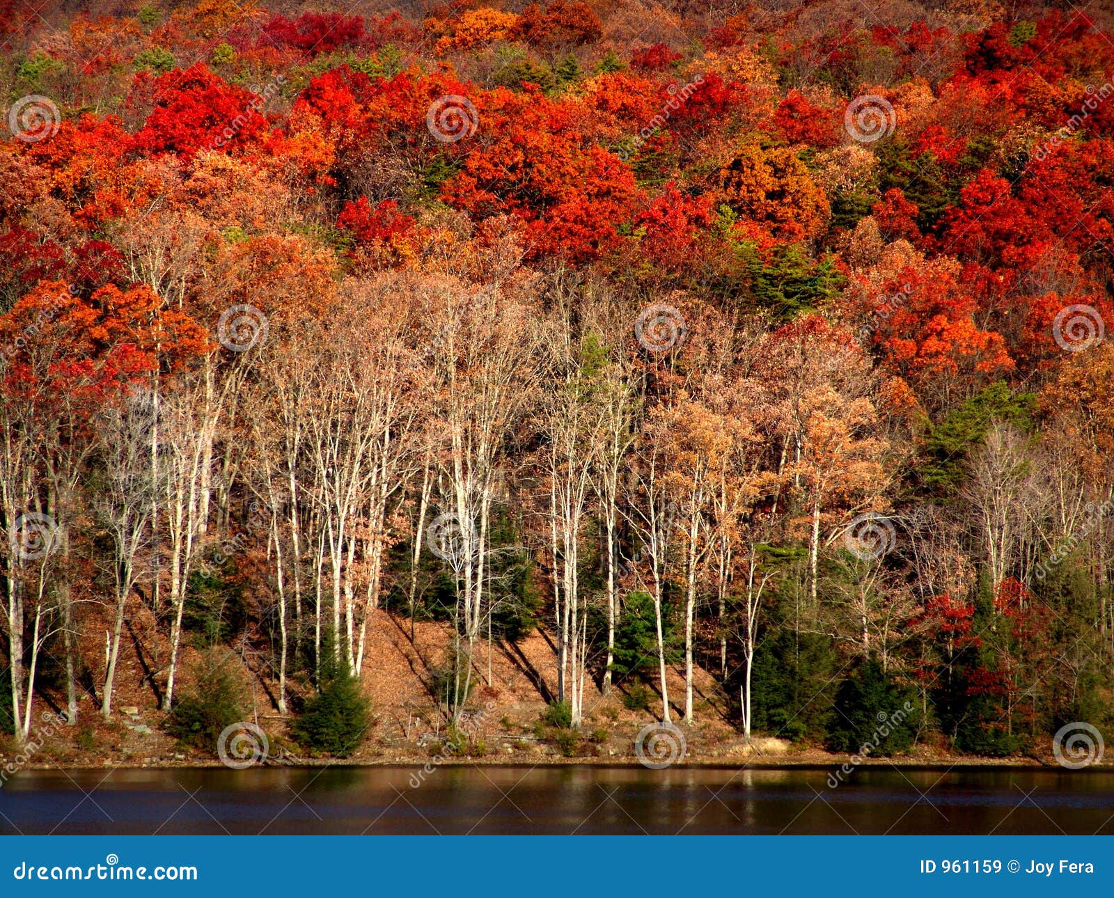 Autumn on the Lake stock image. Image of outdoors, beauty - 961159