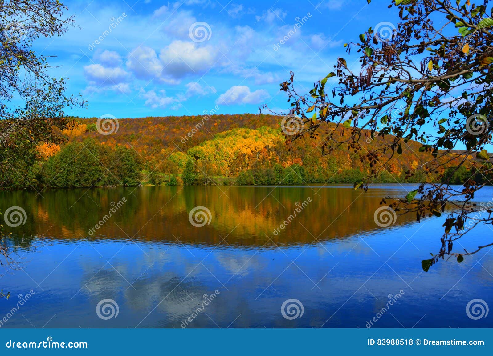 Autumn lake stock photo. Image of lake, water, reflected - 83980518