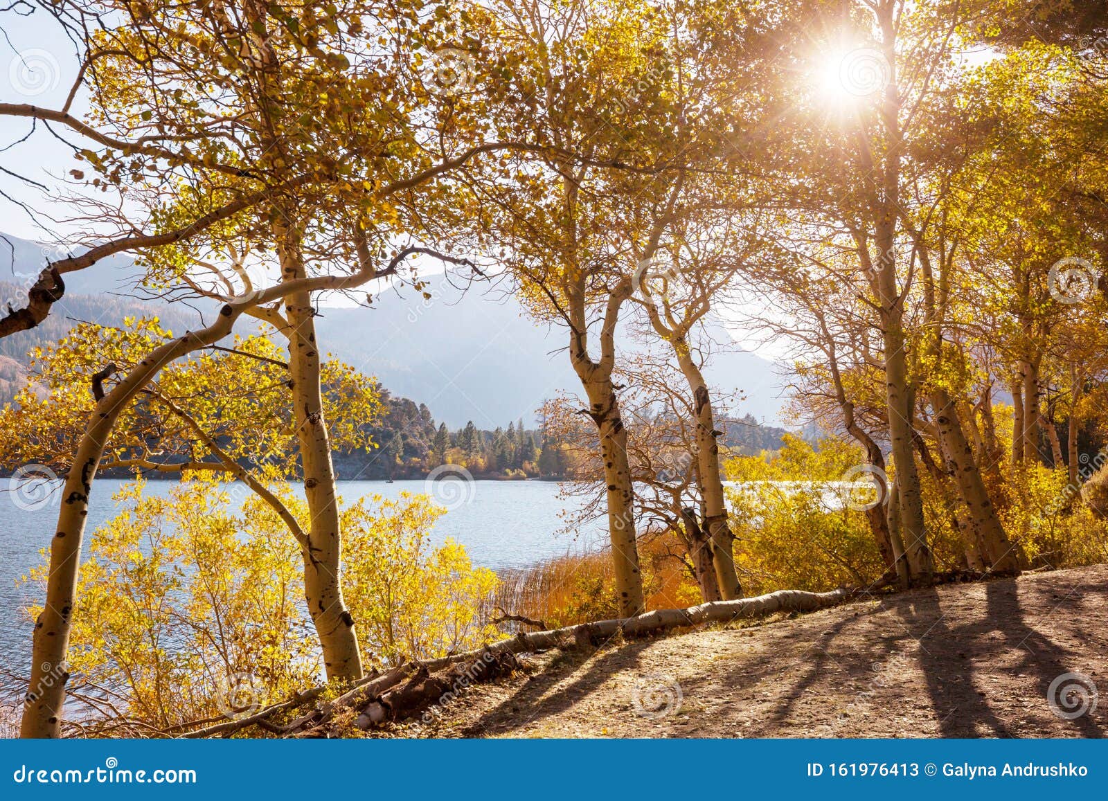 Autumn lake stock image. Image of beautiful, recreation - 161976413