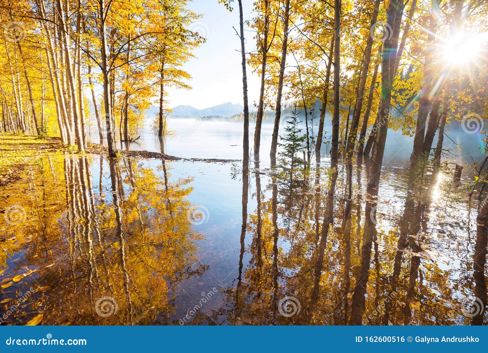 Autumn lake stock photo. Image of reflection, peaceful - 162600516