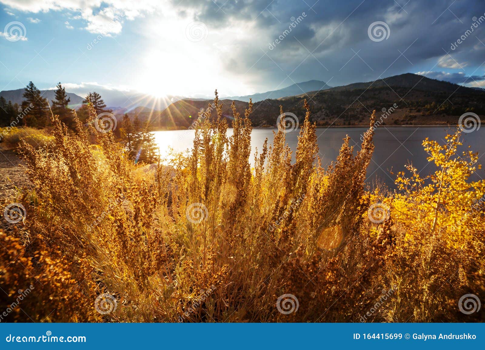 Autumn lake stock image. Image of calmness, forest, bright - 164415699