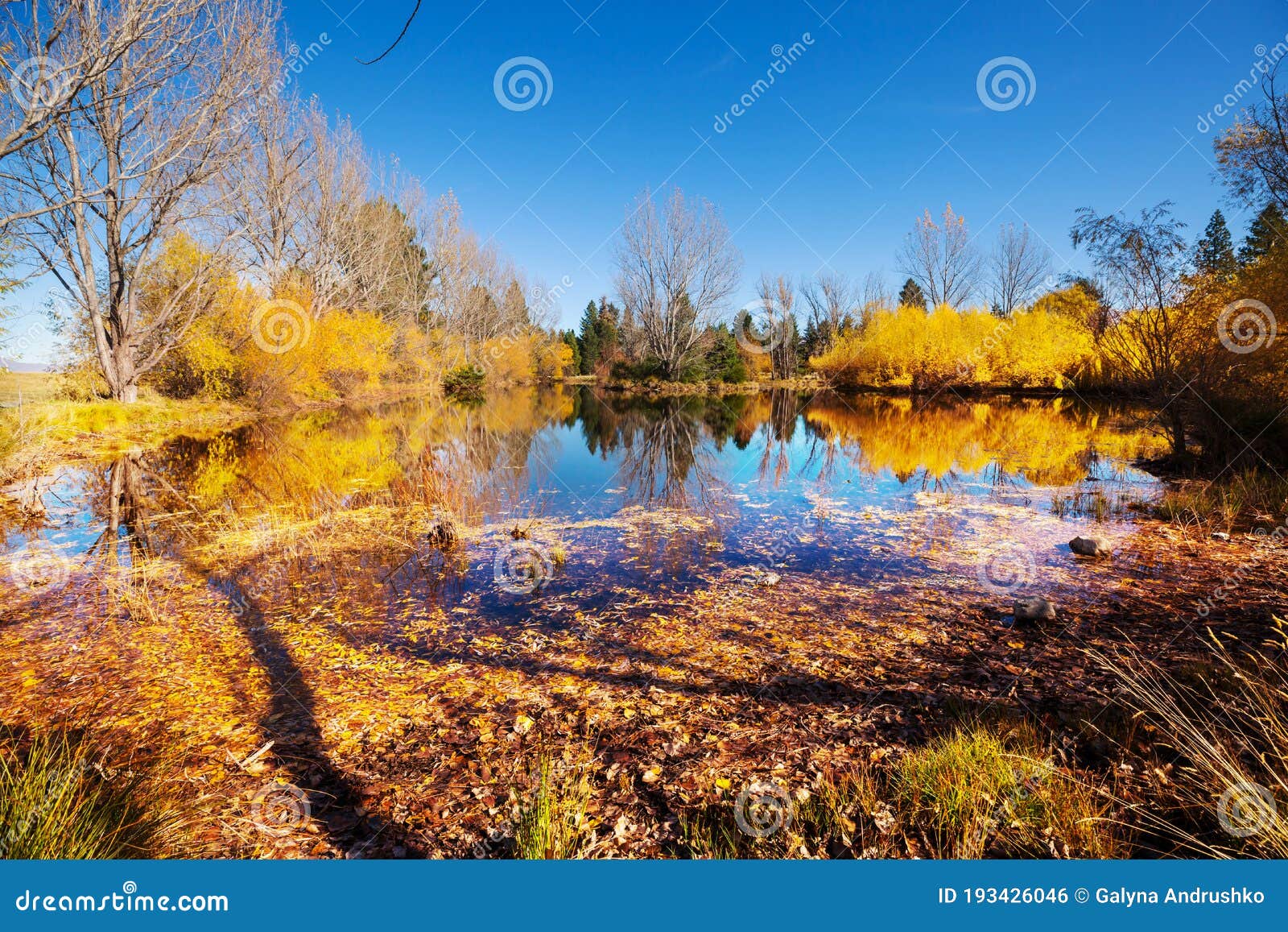 Autumn lake stock photo. Image of fall, nature, bright - 193426046