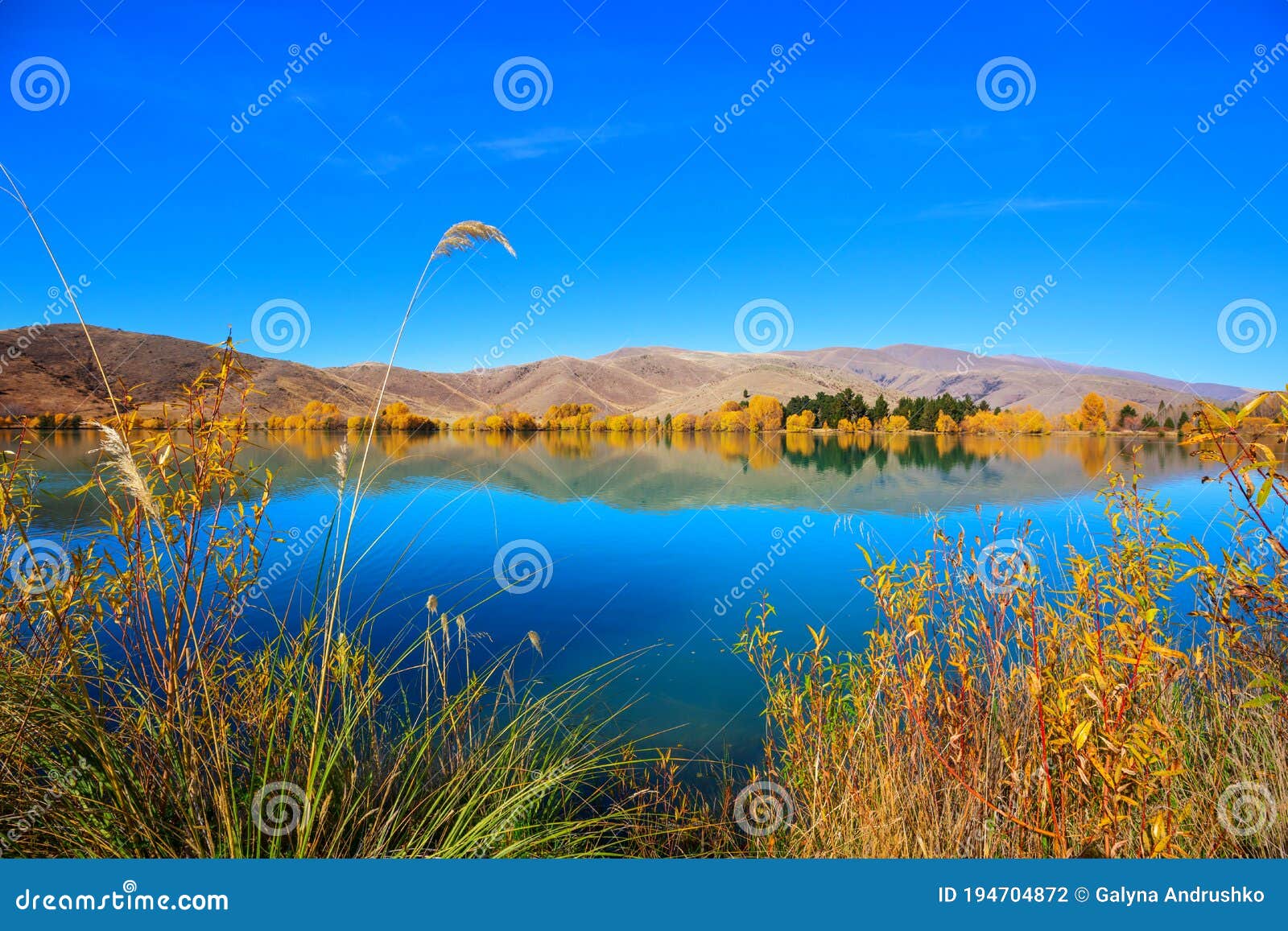 Autumn lake stock photo. Image of october, pond, beautiful - 194704872