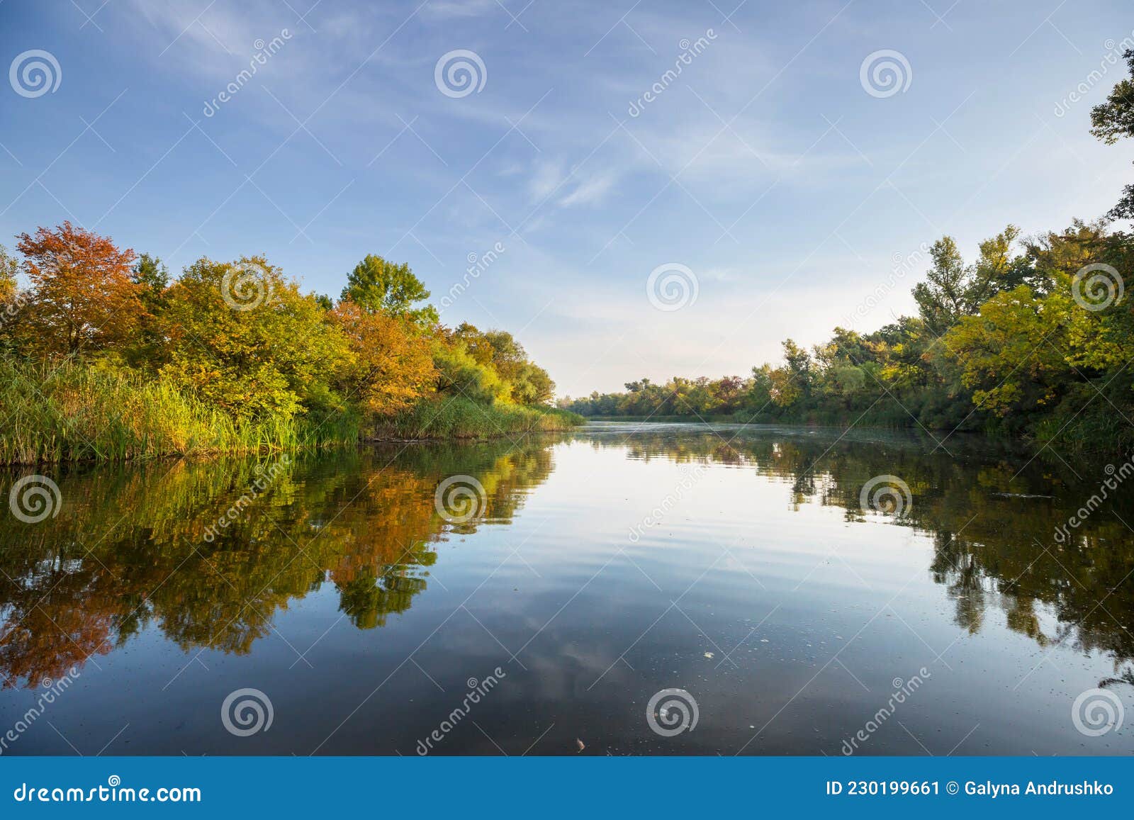 Autumn lake stock image. Image of peaceful, foliage - 230199661