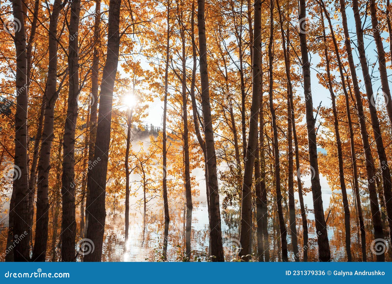 Autumn lake stock photo. Image of beautiful, pier, park - 231379336