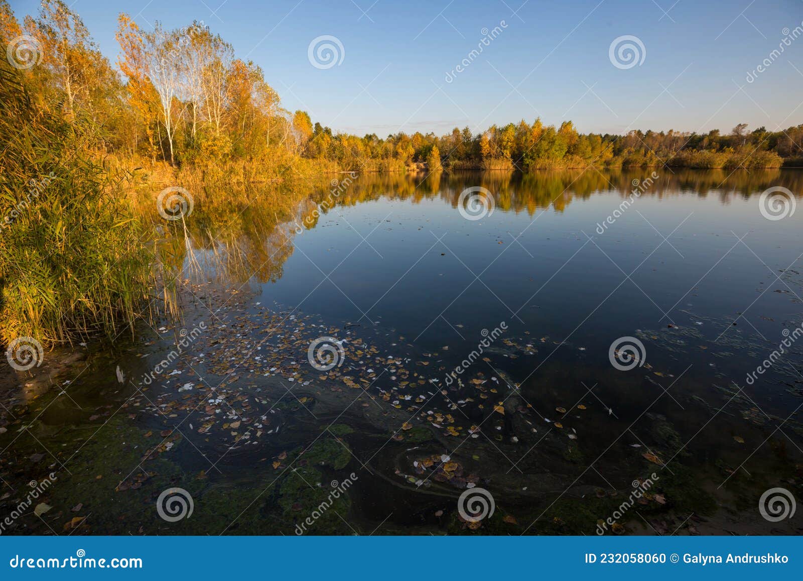 Autumn lake stock photo. Image of nature, mountains - 232058060
