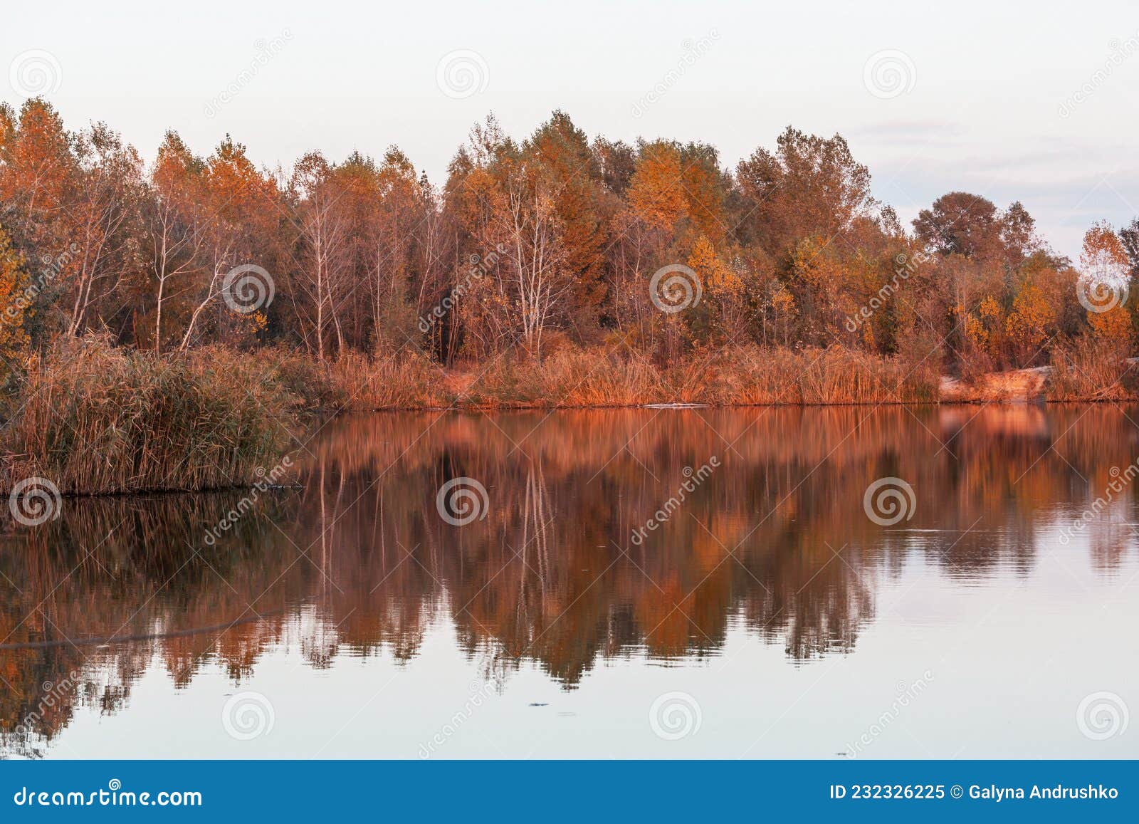 Autumn lake stock image. Image of landscapes, bright - 232326225