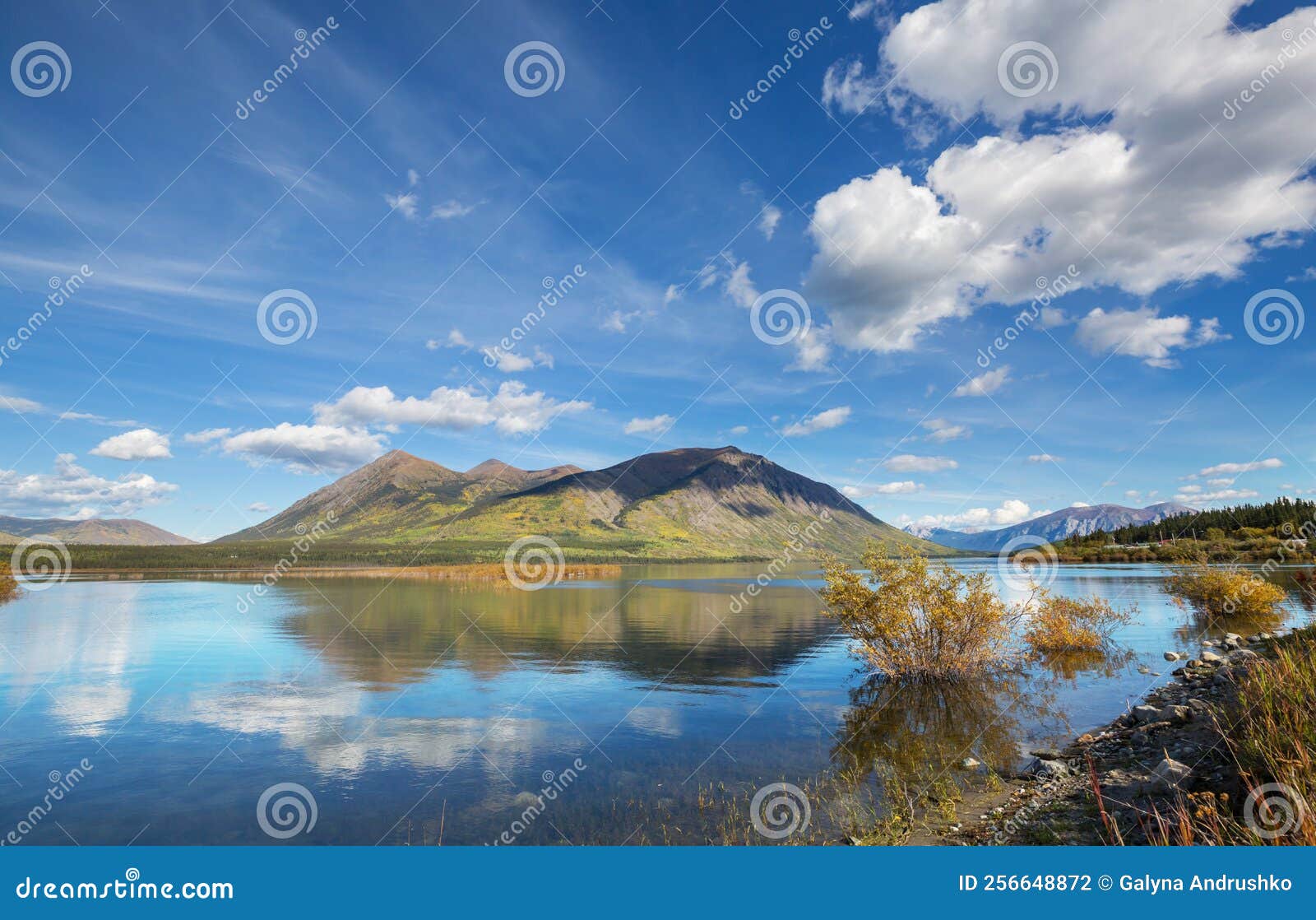 Autumn lake stock photo. Image of calm, pier, relaxation - 256648872