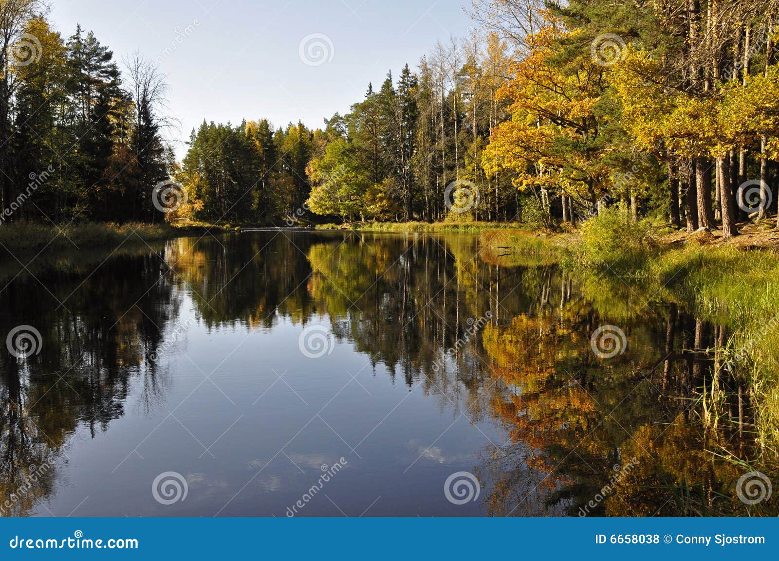 Autumn lake landscape stock photo. Image of blue, trees - 6658038