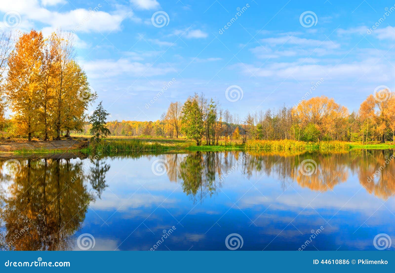 Autumn on lake stock photo. Image of yellow, cane, blue - 44610886