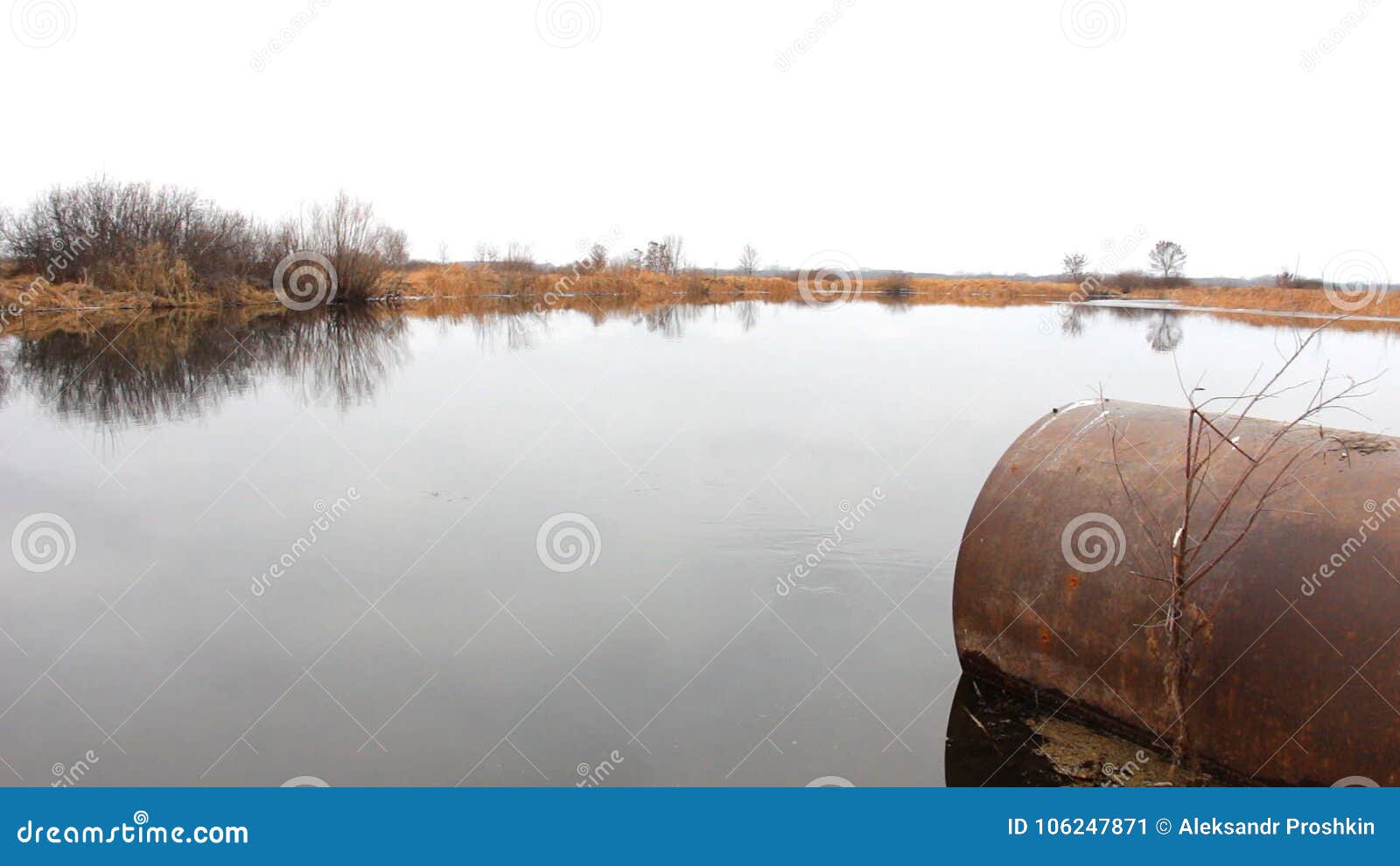 Autumn lake with a pipe stock video. Video of plant - 106247871
