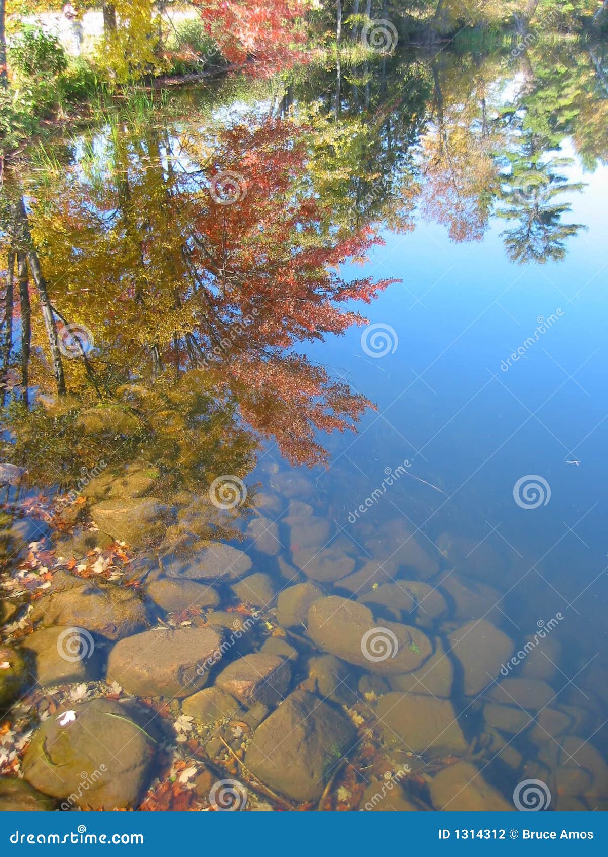 Autumn Lake reflection stock photo. Image of october, liquid - 1314312