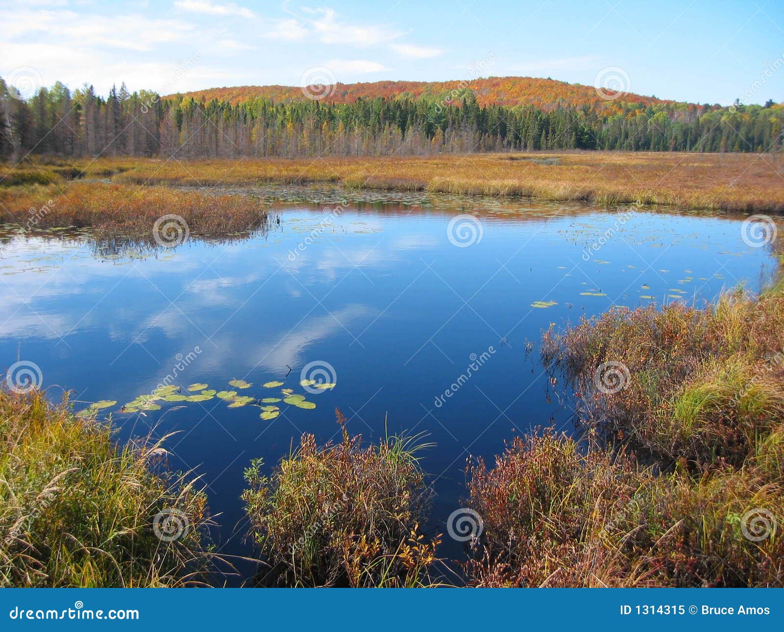 Autumn Lake reflection stock image. Image of november - 1314315
