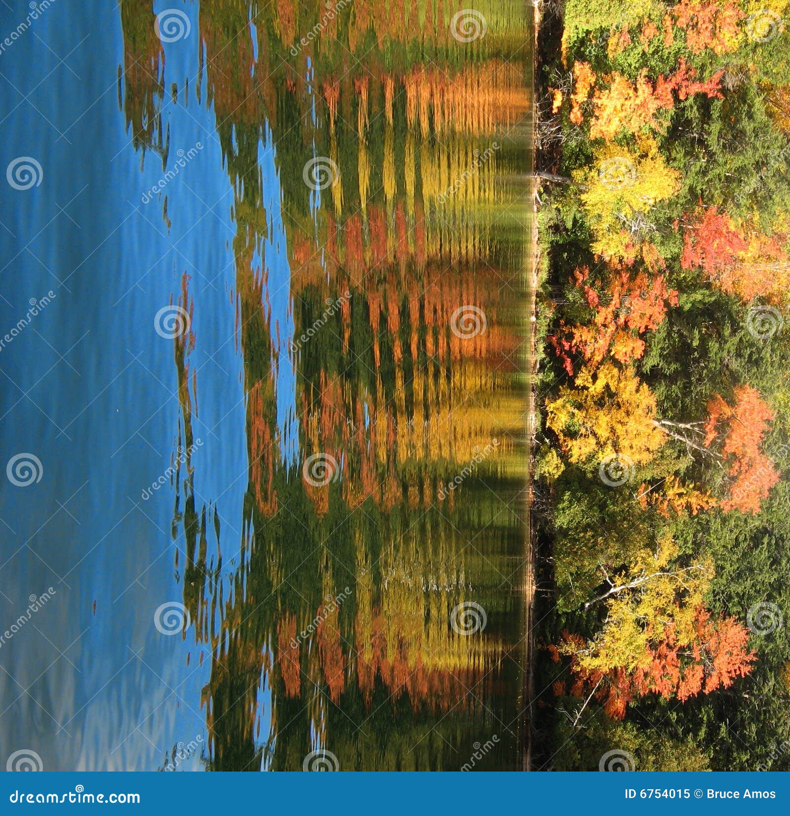 Autumn lake reflection stock image. Image of natural, beauty - 6754015