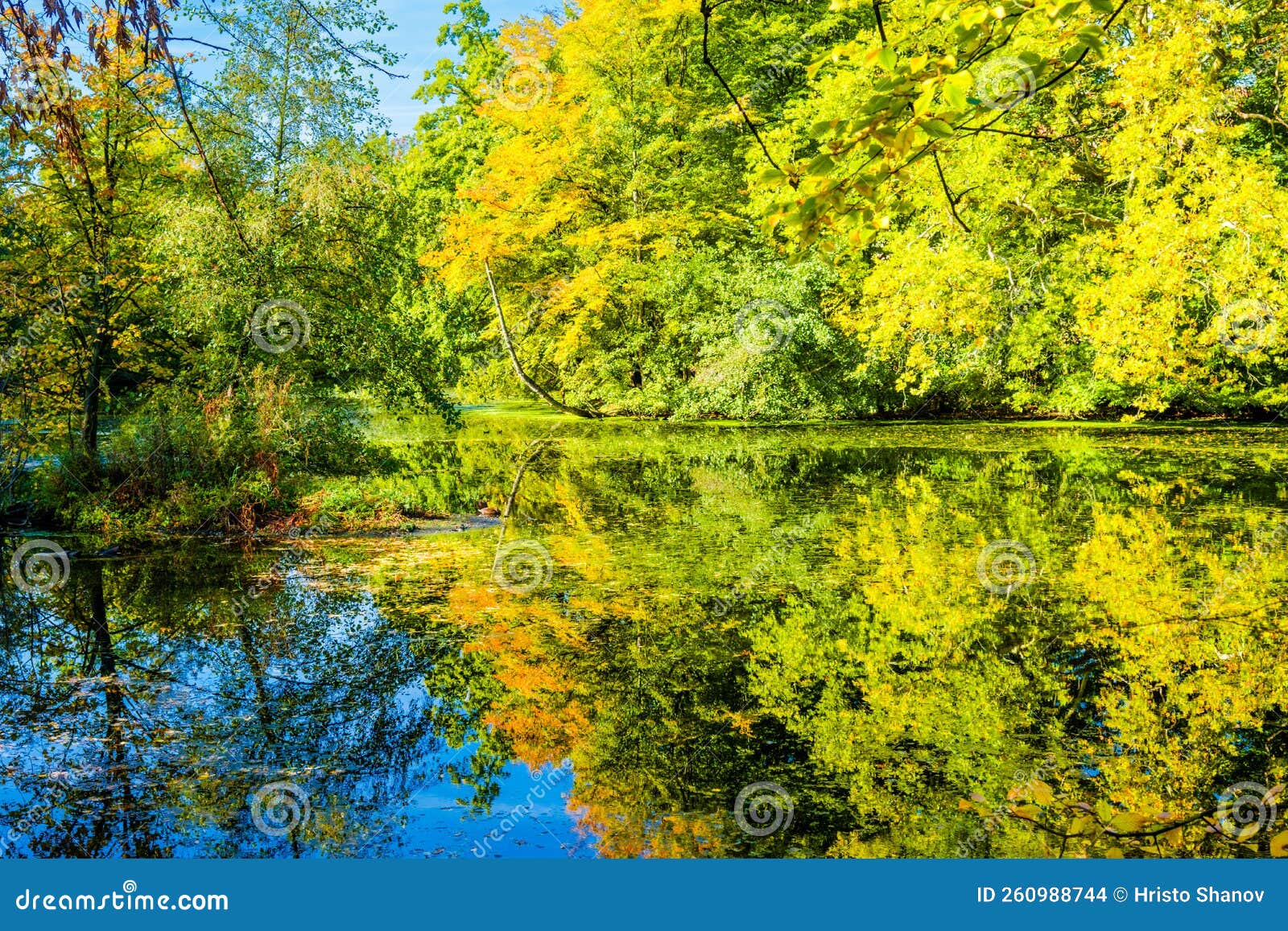 Autumn Lake. Reflections from Trees in Water Stock Photo - Image of ...