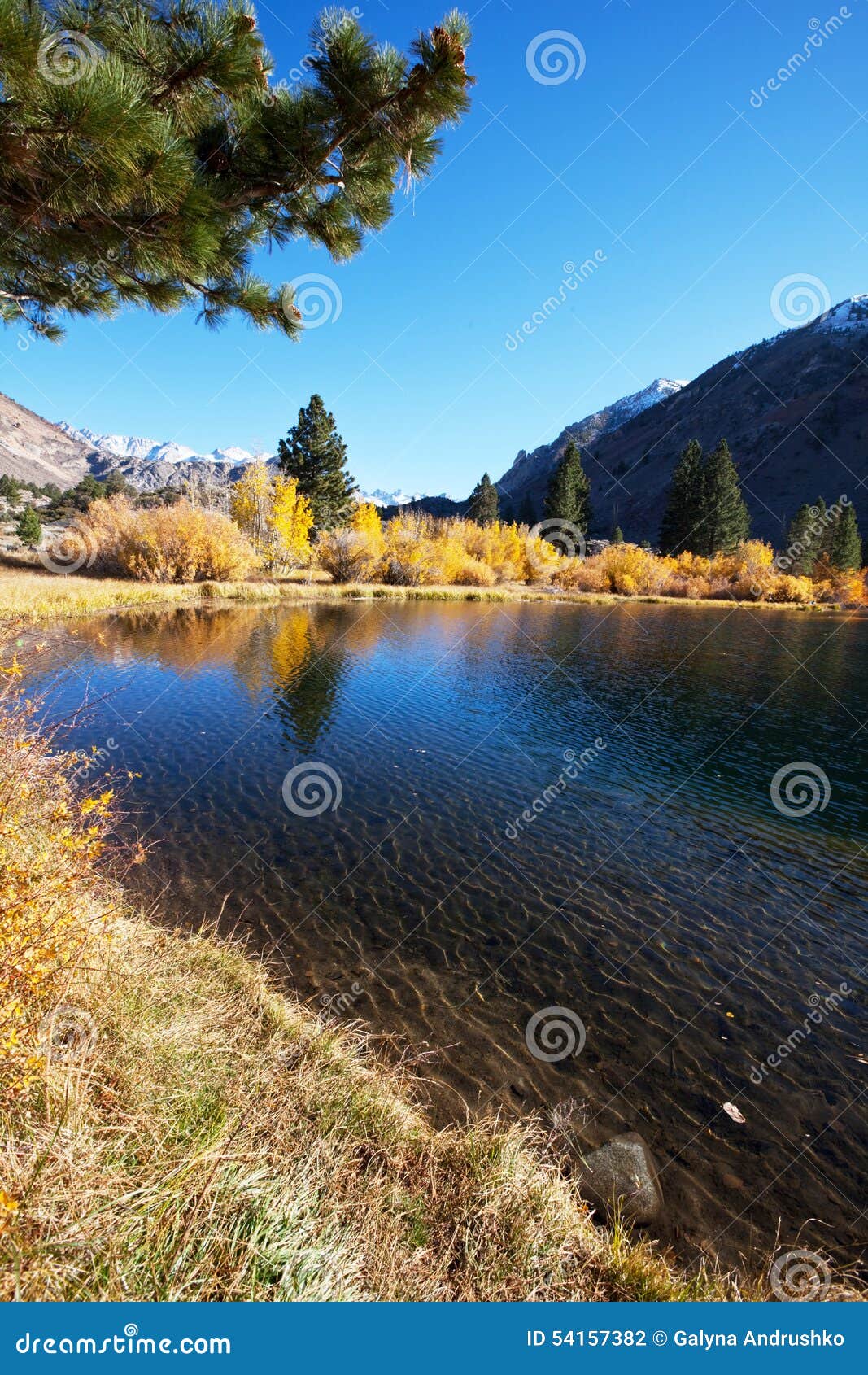 Autumn lake stock photo. Image of foliage, country, woodland - 54157382