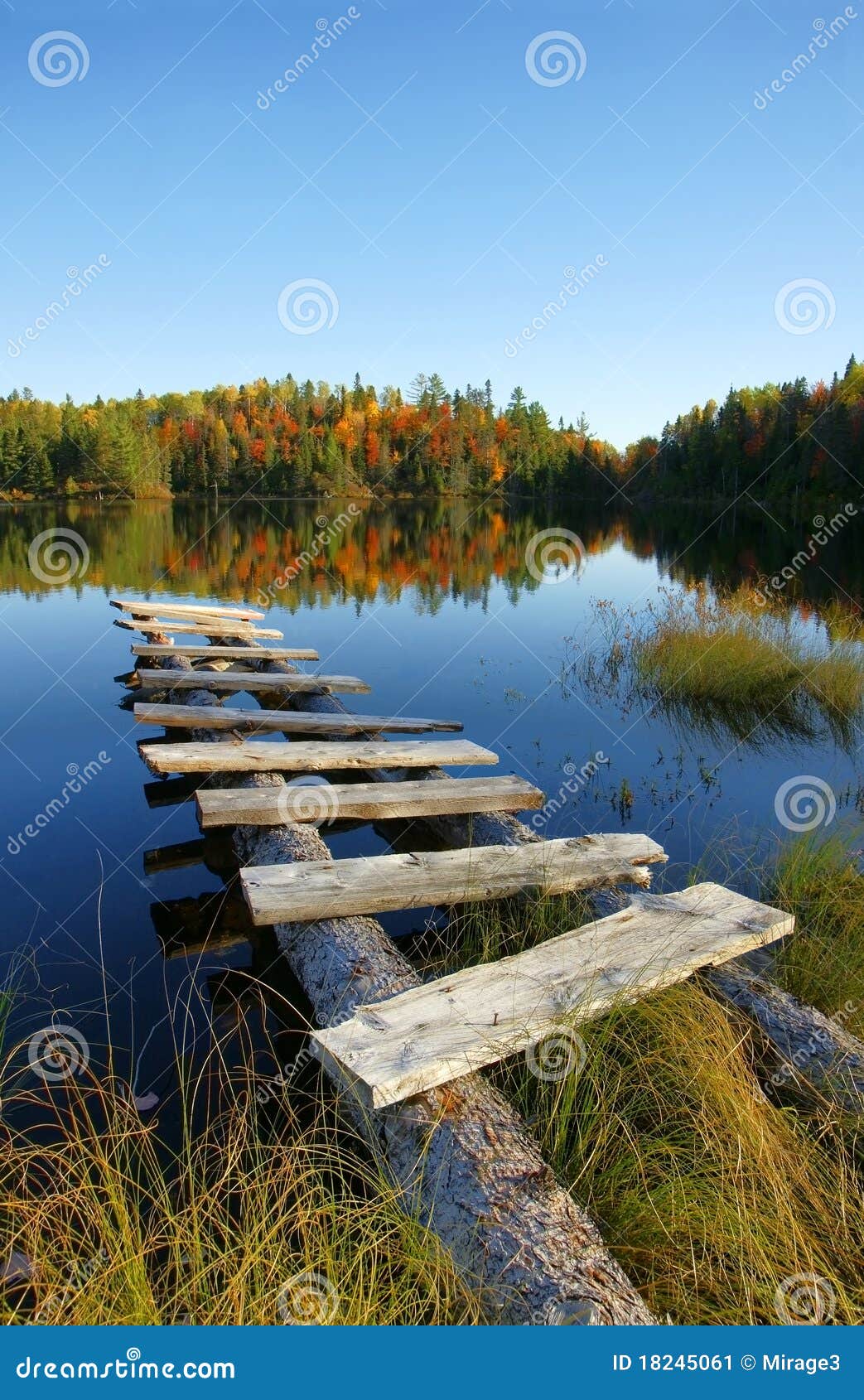 Autumn lake vertical stock image. Image of autumn, nature - 18245061