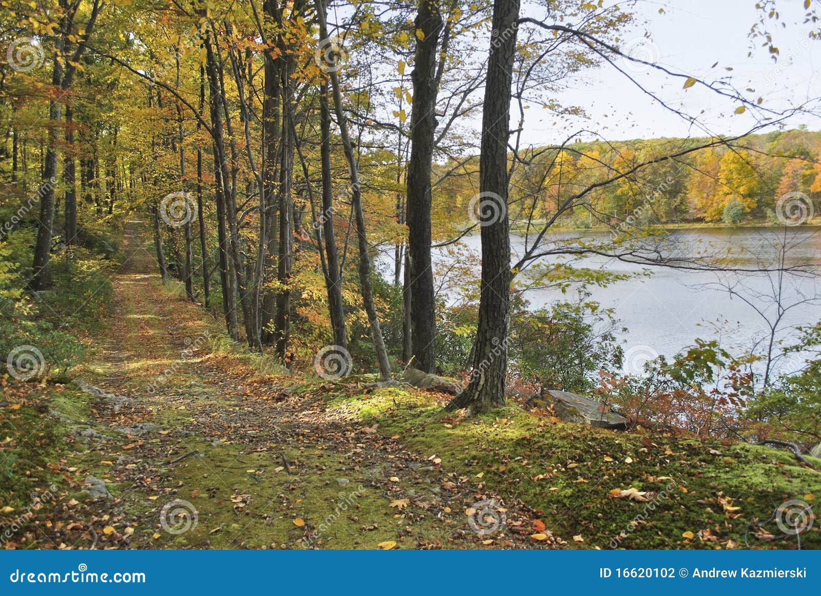 Autumn Lakeside Path stock photo. Image of lake, trail - 16620102