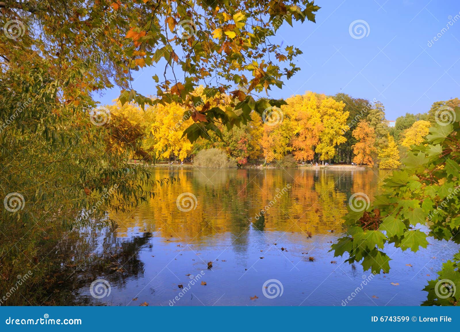 Autumn Lakeside Scene stock image. Image of river, yellow - 6743599