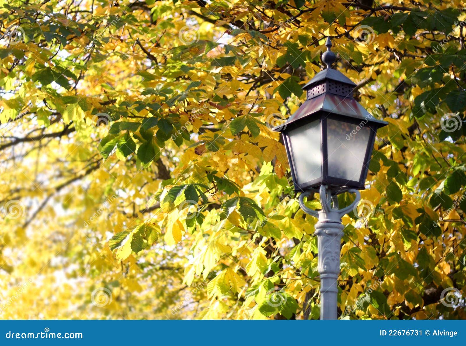 Autumn Lamp Post stock image. Image of natural, environment - 22676731