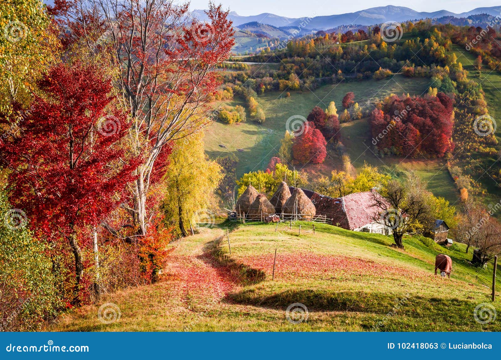 Autumn Landscape stockbild. Bild von oktober, grün, berg - 102418063
